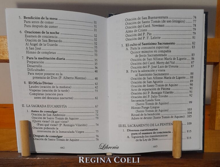 SOLO DIOS BASTA. Devocionario de la familia - P. Ramiro Sáenz