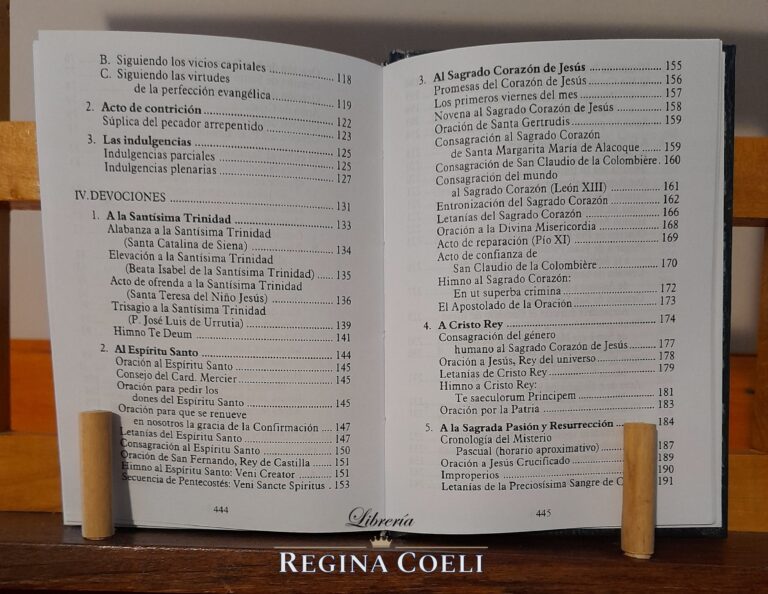 SOLO DIOS BASTA. Devocionario de la familia - P. Ramiro Sáenz