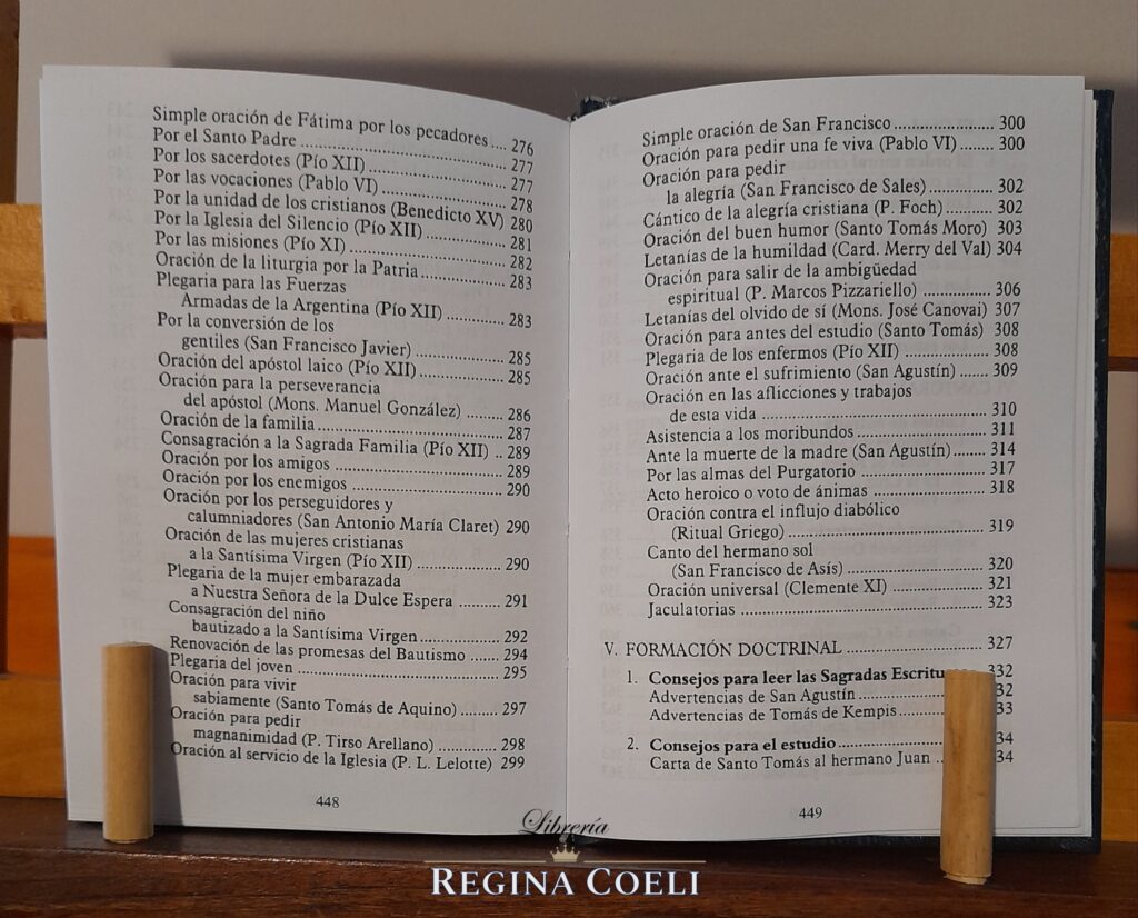 SOLO DIOS BASTA. Devocionario de la familia - P. Ramiro Sáenz